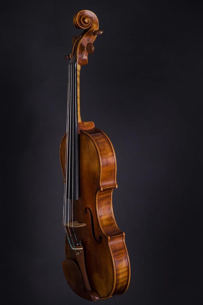 Violin Gold - Elige tu violin, tienda de violines y violonchelos